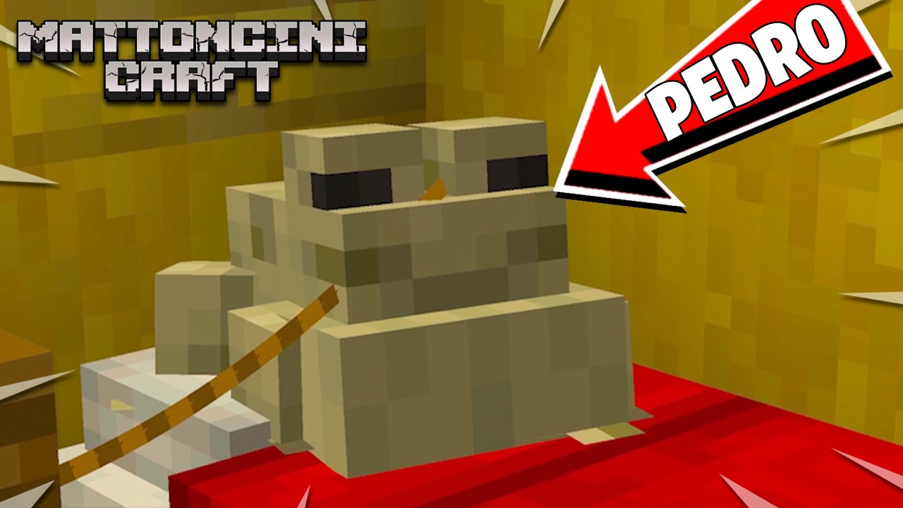 ABBIAMO ADDOTTATO UNA RANA SU MINECRAFT! - YouTube