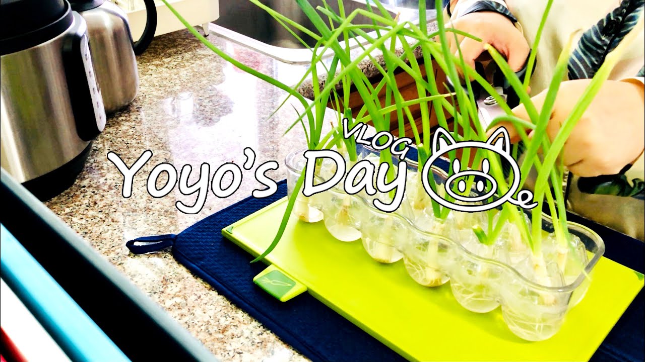 ENG] 在家的Vlog Vol.1｜ Vietnamese Coffee｜Water-based scallions｜Shrimp ...