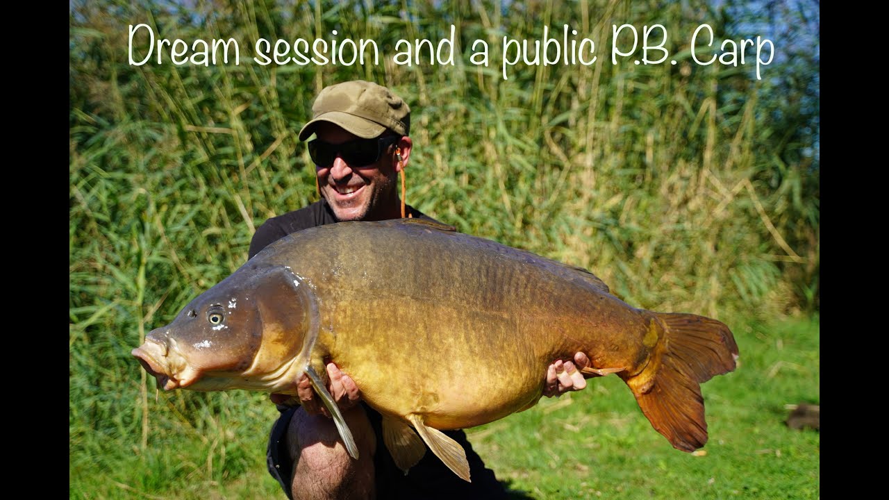 Vlog 10 - Carp fishing : A dream session and a public lake P B - YouTube