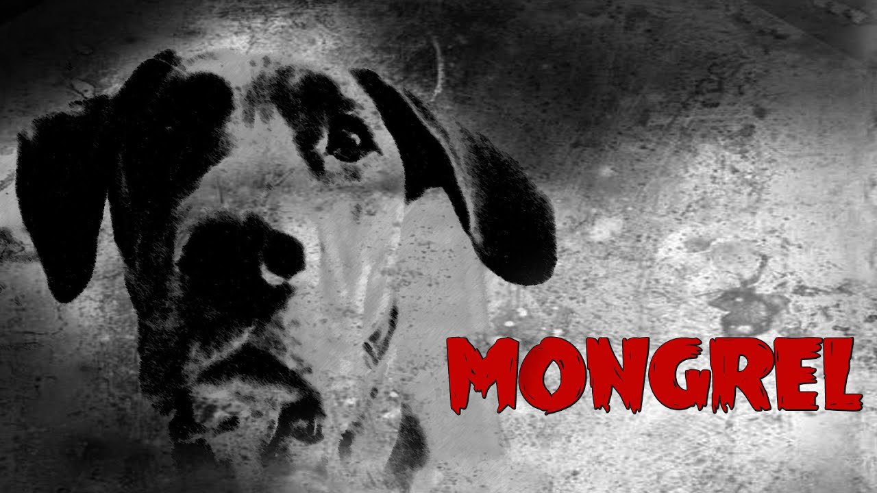 Mongrel (2013) Short Film - YouTube