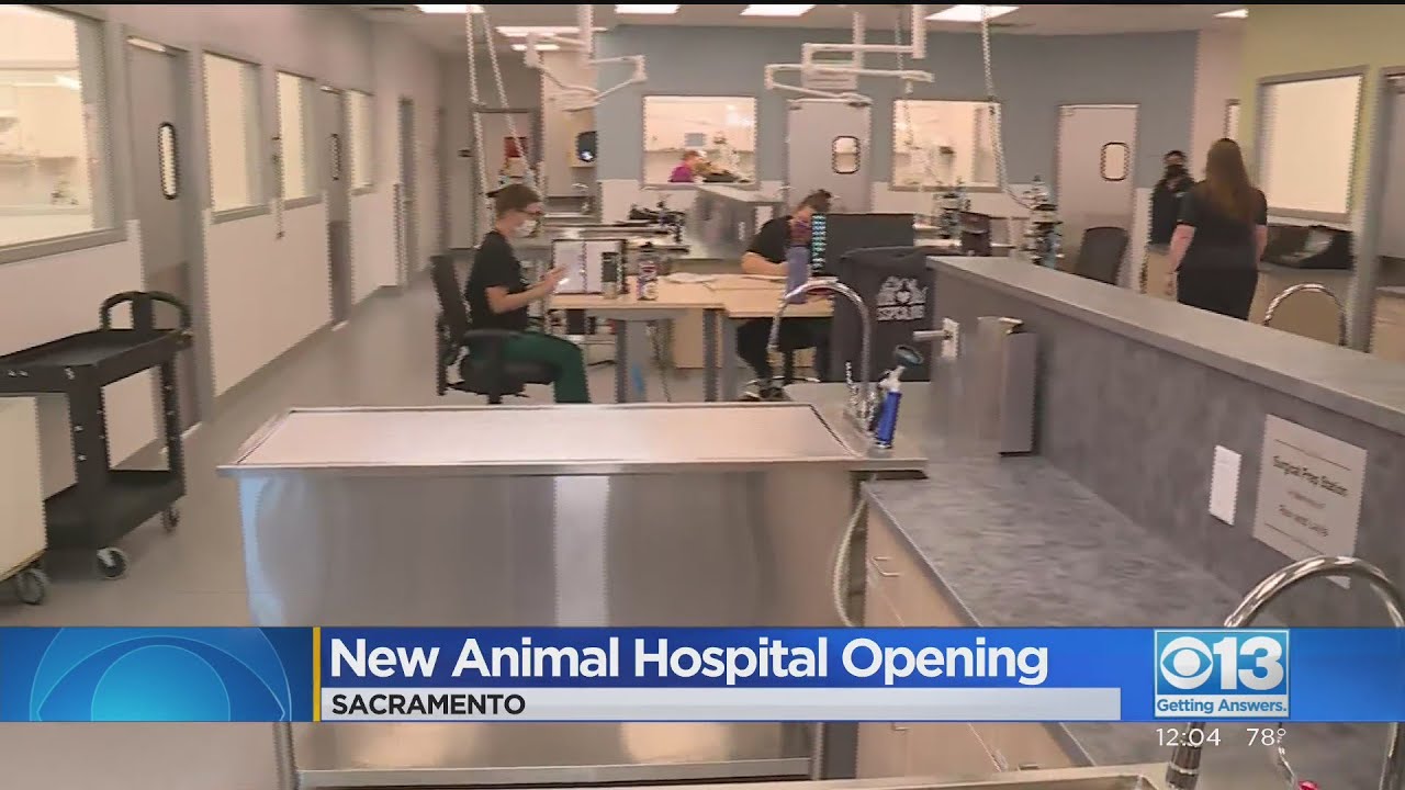 Sacramento SPCA Opens New Animal Hospital - YouTube