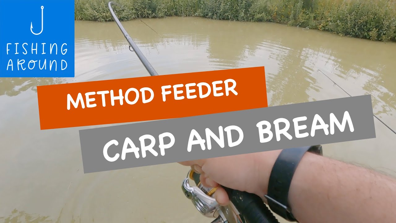Method Feeder Carp and Bream | Fishing Around - YouTube