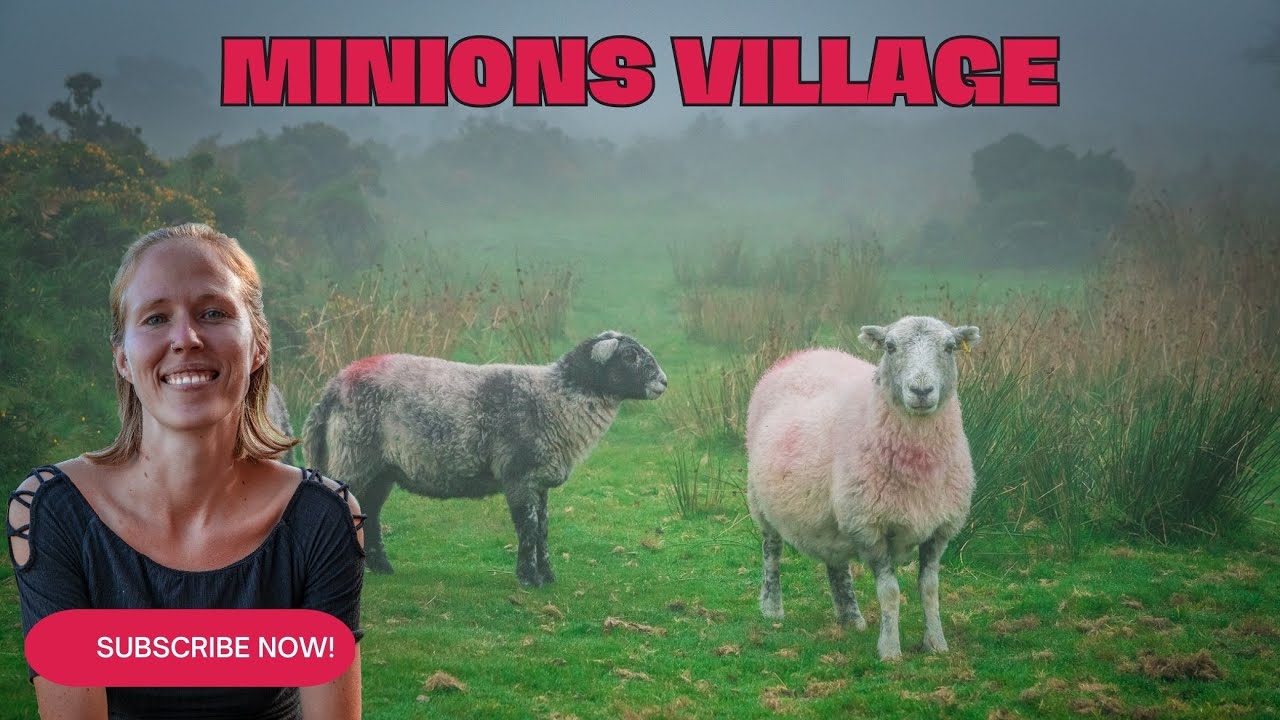 Ausflugsziel in Cornwall: Vom Minions Village zum Cheesewring und den ...