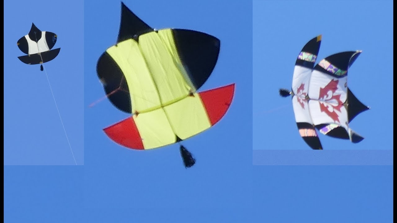 best patang paich patang paich technique Kite Fighting kite flying ep ...