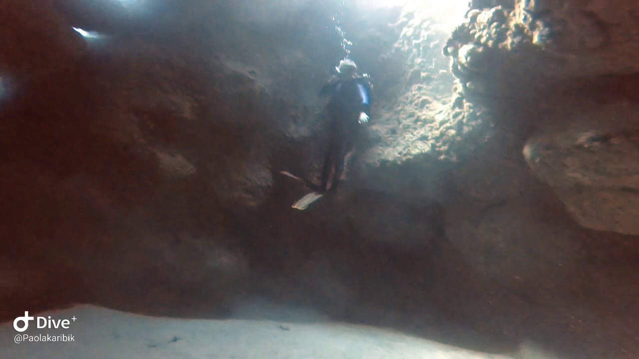 Diving in a cave with sharks - San Pedro, Belize - YouTube