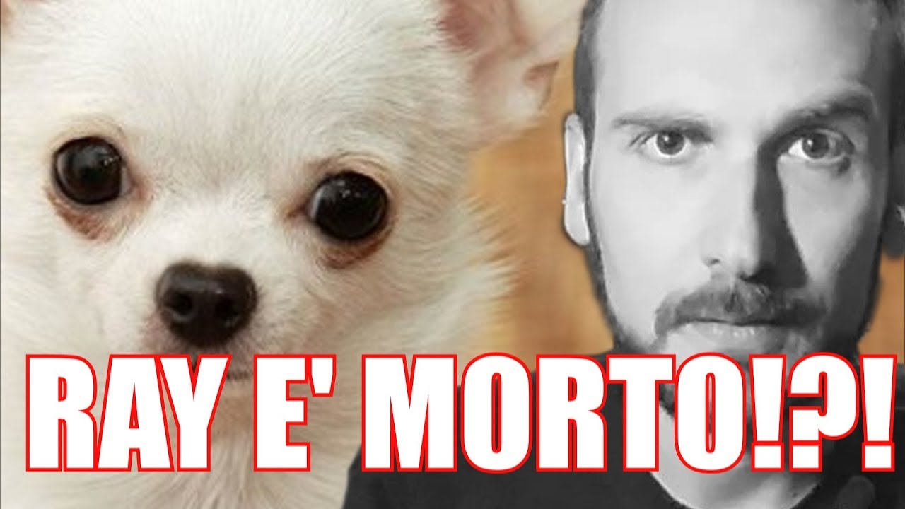 RAY DEI ME CONTRO TE è M0RT0?!? - YouTube