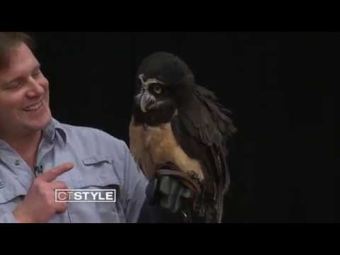 Christopher Evers and Exotic Animals from Around the Globe - YouTube
