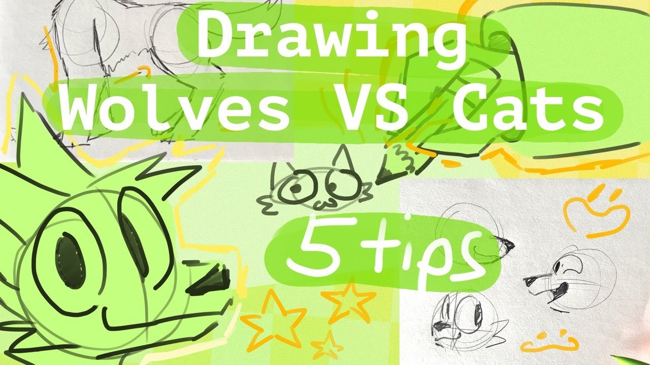 5 DIFFERENCES BETWEEN DRAWING CATS AND WOLVES - YouTube
