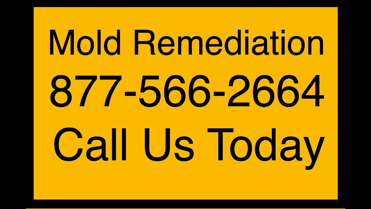 Mold Remediation Garland, TX - 877-566-2664 - Call us Today - YouTube