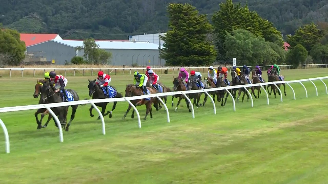 Wellington Cup Thorndon Mile - YouTube