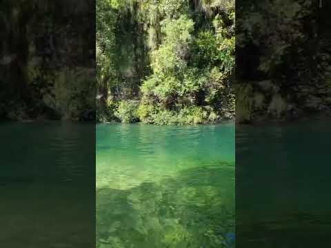 Cachoeira Rei do Prata 👑 Aos amantes da Natureza 💙 Cavalcante/GO ...