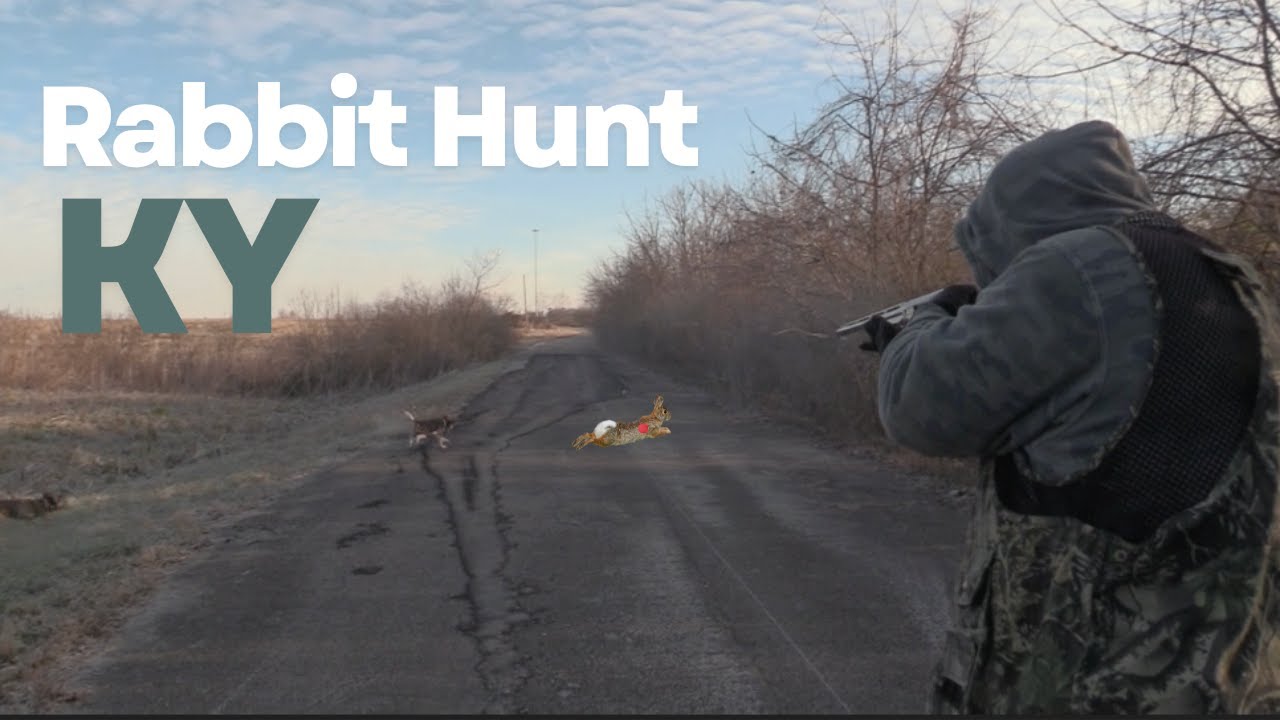 KY Rabbit Hunt Below 30,s - YouTube