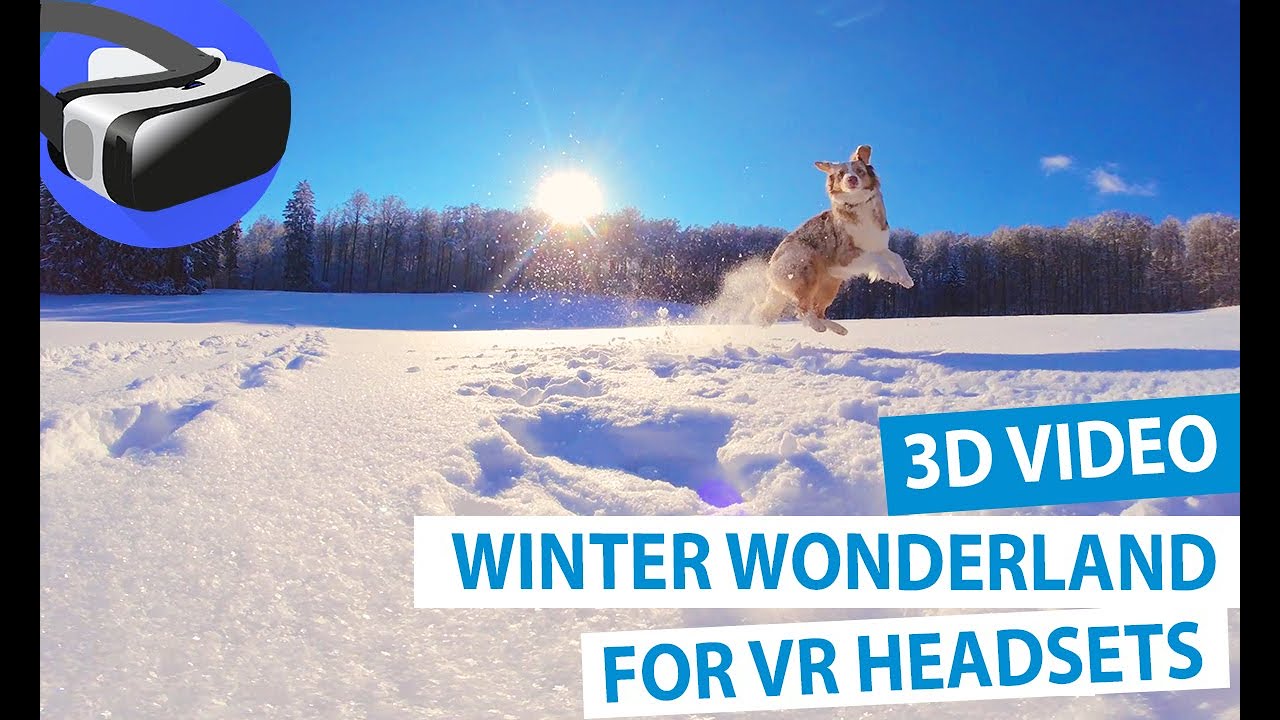 Winter Wonderland 3D Video - Oculus Quest / Quest 2 & other VR Headsets ...