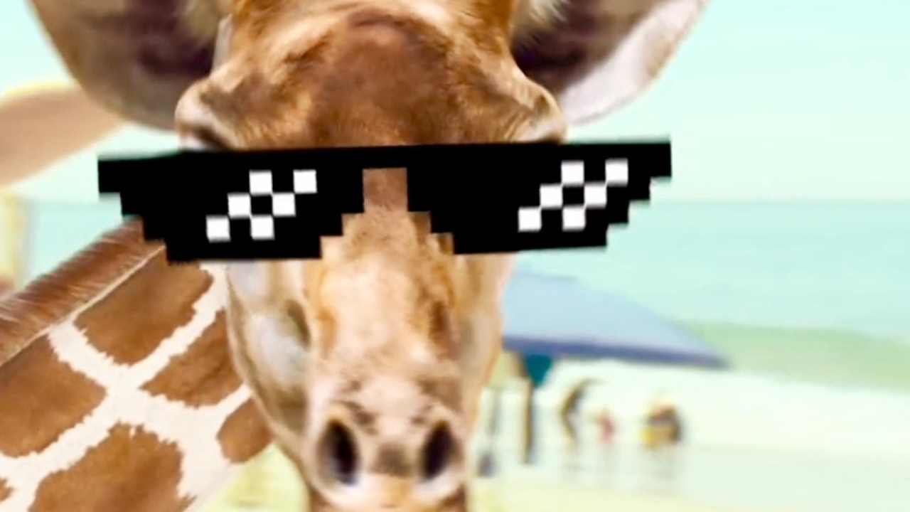 Gangster Giraffe Live Stream - YouTube