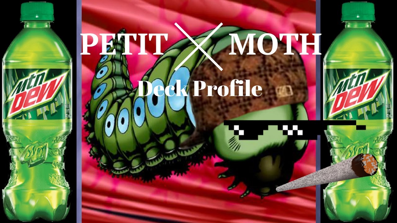 INSANE PETIT MOTH DECK PROFILE *YGO/DEV PRO DECK* // BEST - YouTube