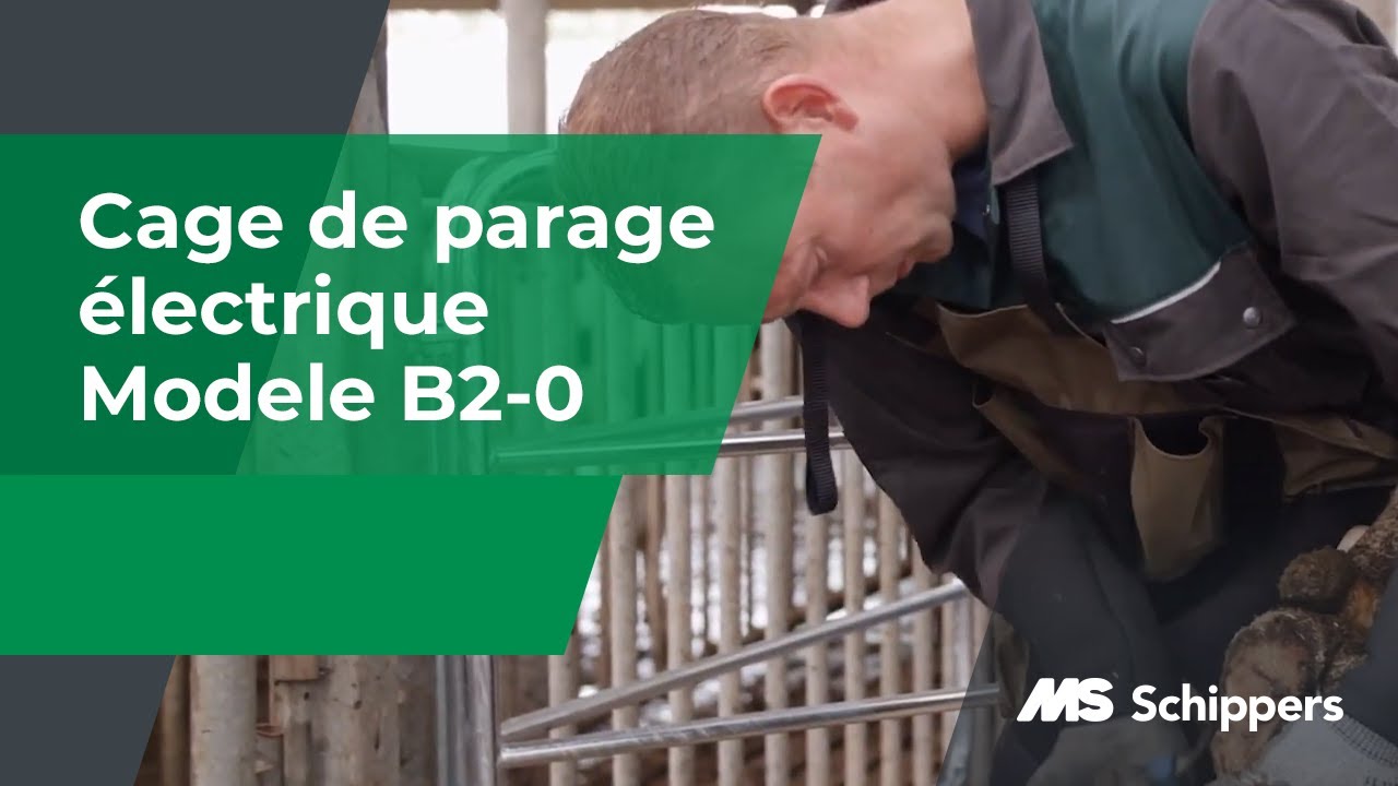Cage de parage électrique | modèle B2-0 - YouTube