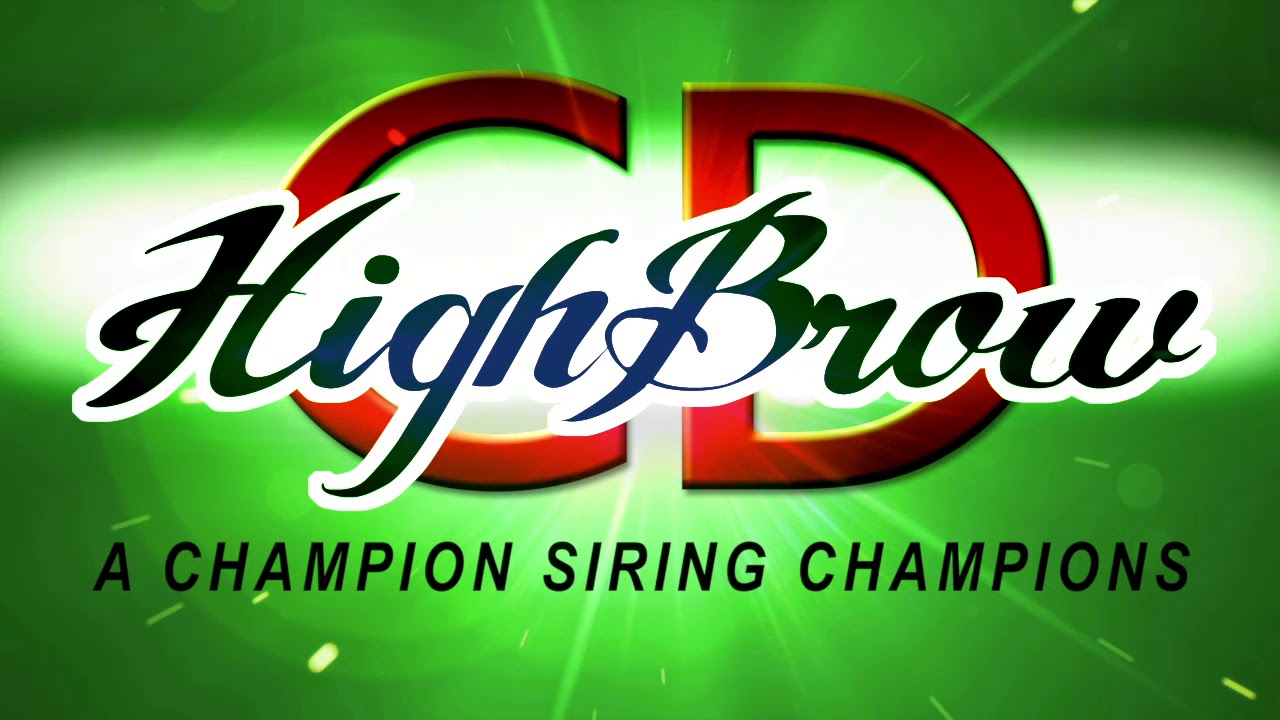 High Brow CD - YouTube