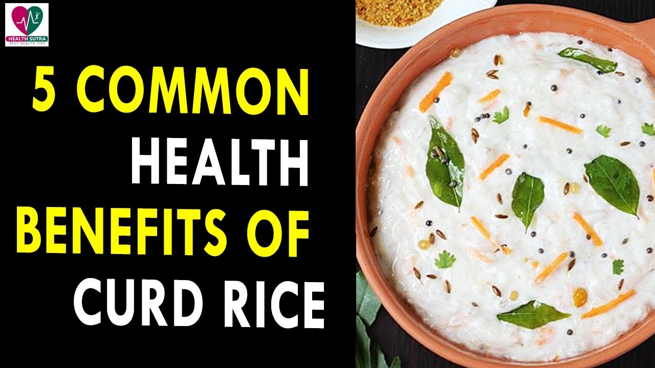 5 Common Health Benefits Of Curd Rice || Health Sutra - Best Health ...