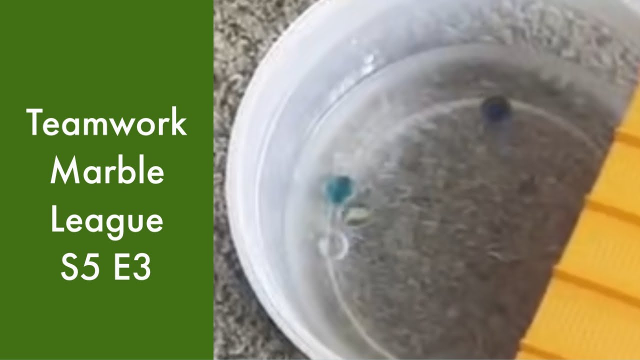 Teamwork Marble League Season 5 - Event 3: Swimming | Streak’s Marble ...