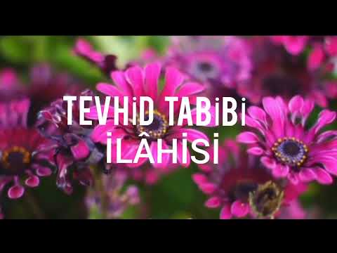 #HASTAYIM TEVHİD TABİBİ#MÜZİKSİZ İLÂHİ