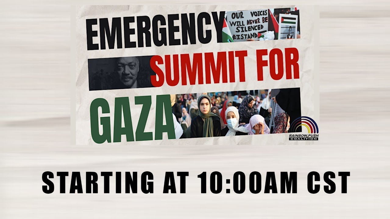 Day 2 for The Emergency Summit for Gaza - YouTube