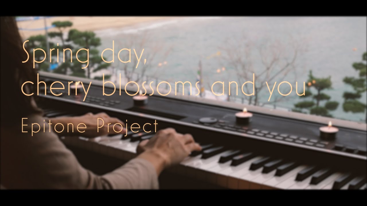 🎼[Emotional 🎹] "Spring day, cherry blossoms and you(봄날, 벚꽃 그리고 너 ...