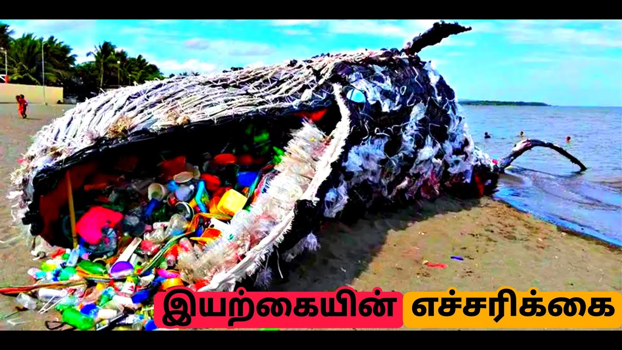 ஆக்சிஜன் இல்லாமல் தவிக்கும் அட்லாண்டிக் பெருங்கடல் || Atlantic Ocean ...