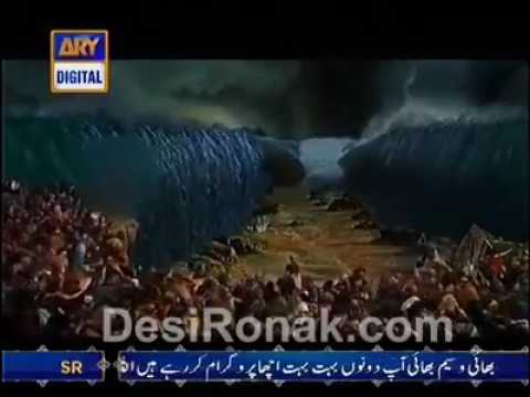 Firon video - YouTube