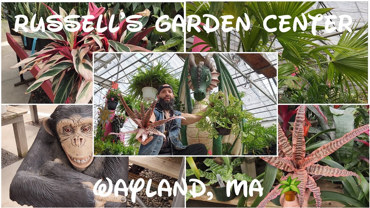 Amazing Plants at Russell's Garden Center 😍 👐 💚 #love #nature #plants # ...