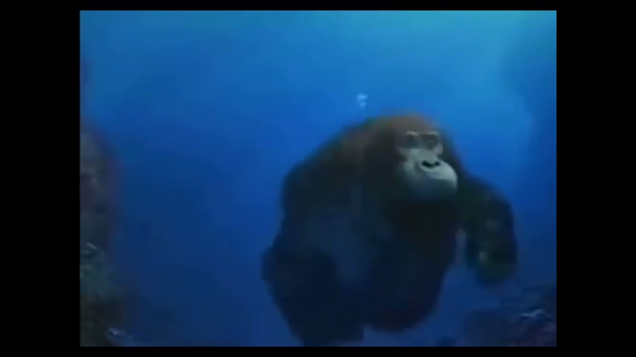 Monkey swimming meme - YouTube