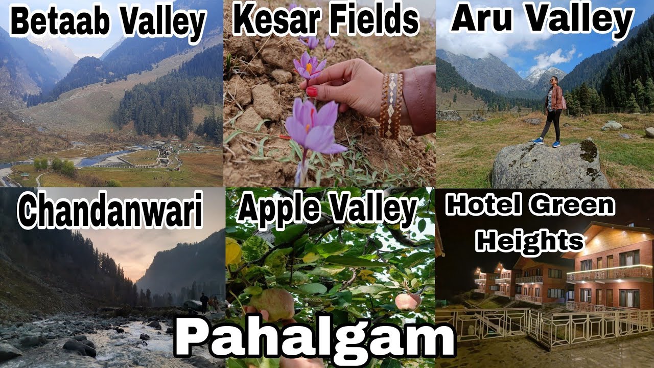 Kashmir Diaries | Day - 3 | Aru Valley | Betab Valley | Chandanwari ...