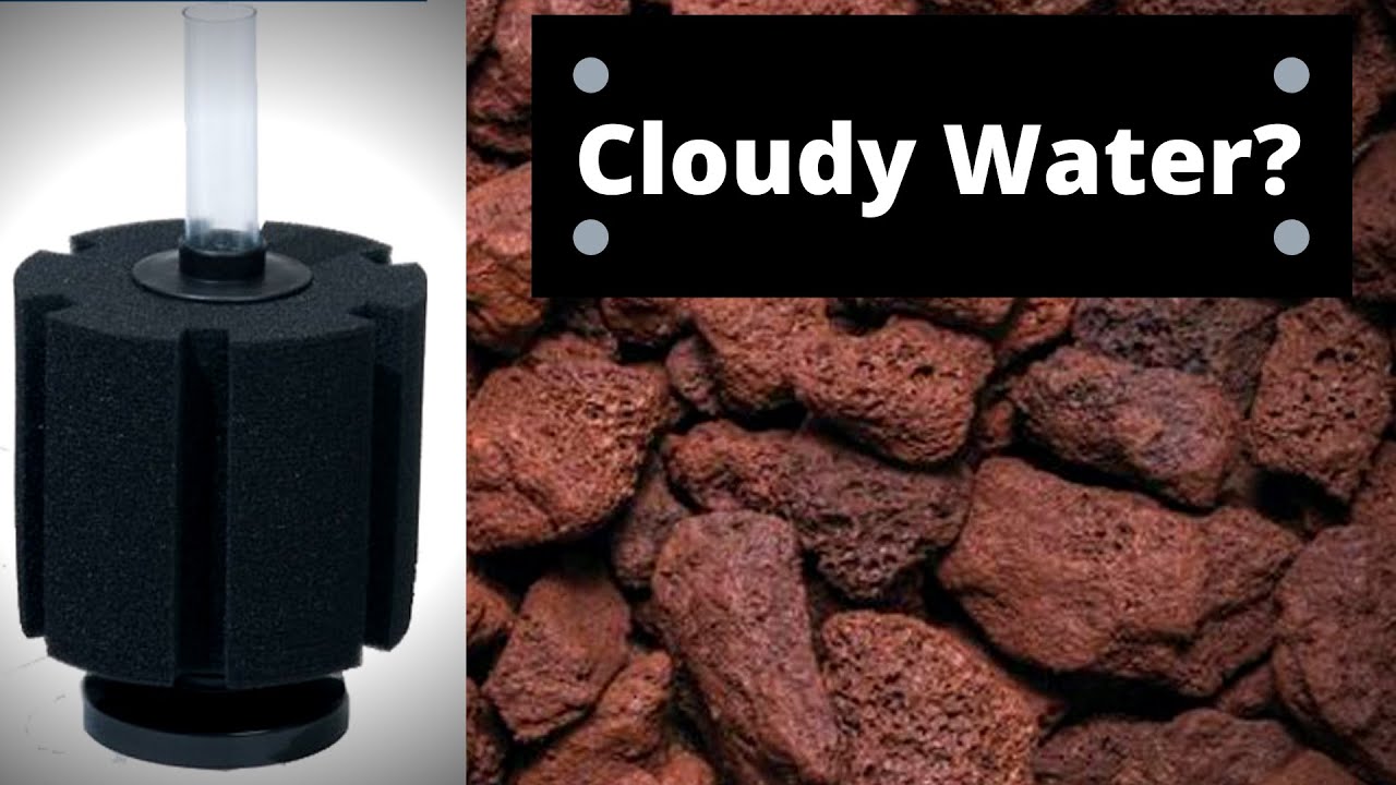 New Sponge Filters - Lava Rock - YouTube