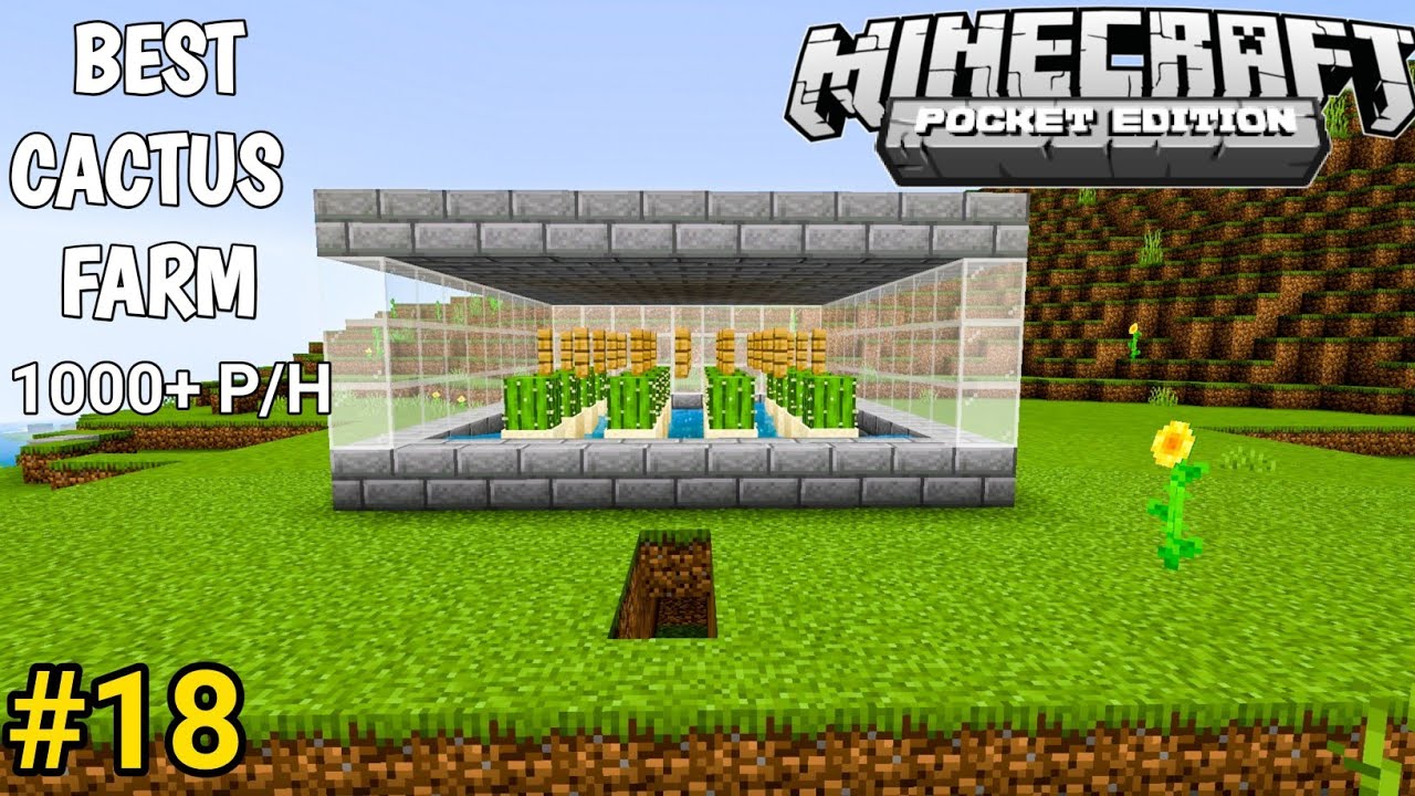 Best cactus farm minecraft pocket edition 1.20//#minecraft # ...
