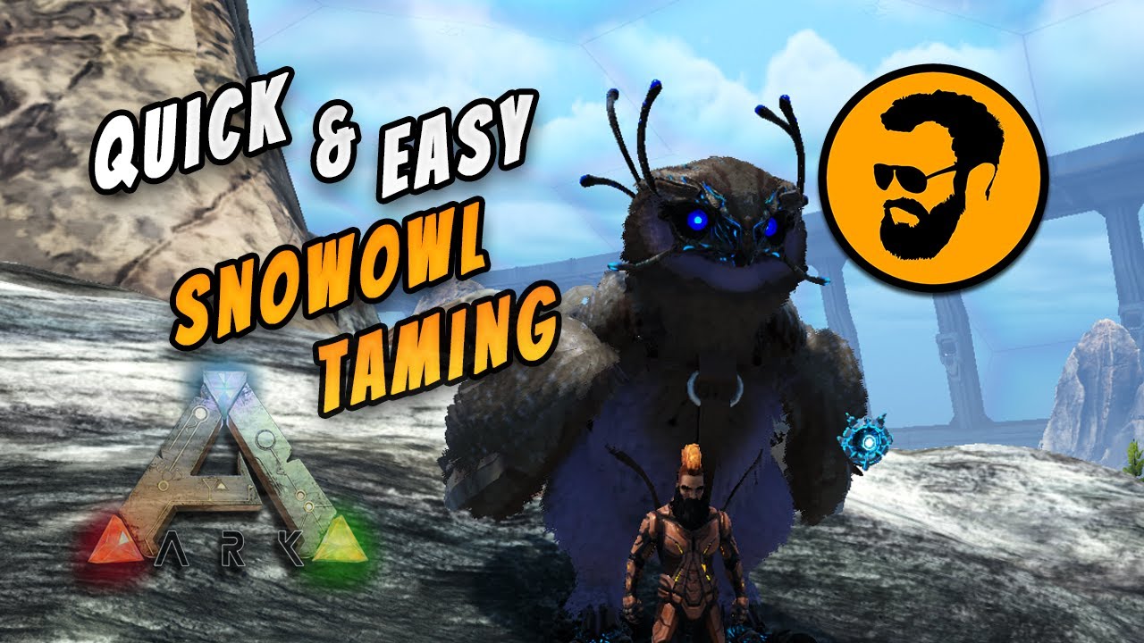 Quick and Easy Snow Owl Taming - YouTube