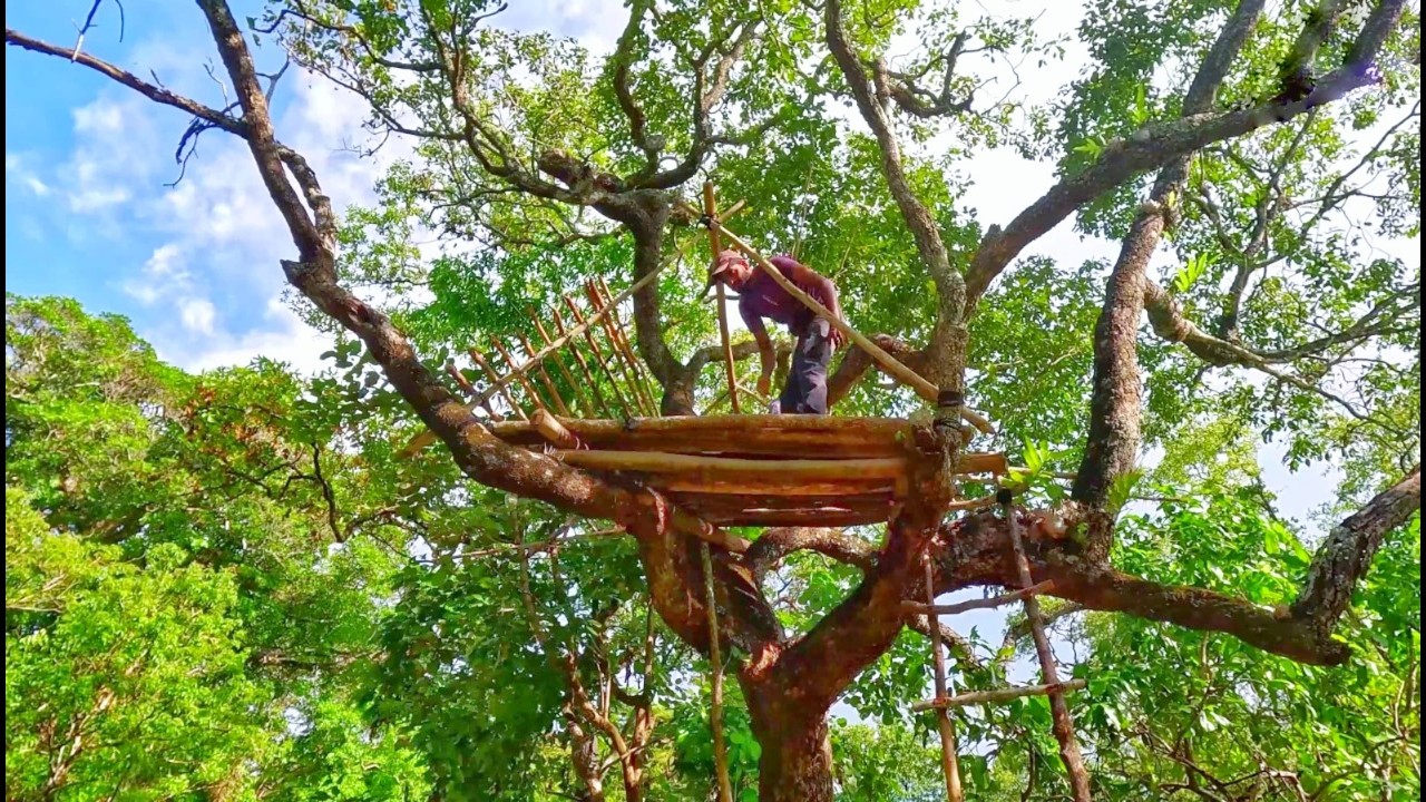 Building the Ultimate Bushcraft Treehouse for Survival in the Deep ...