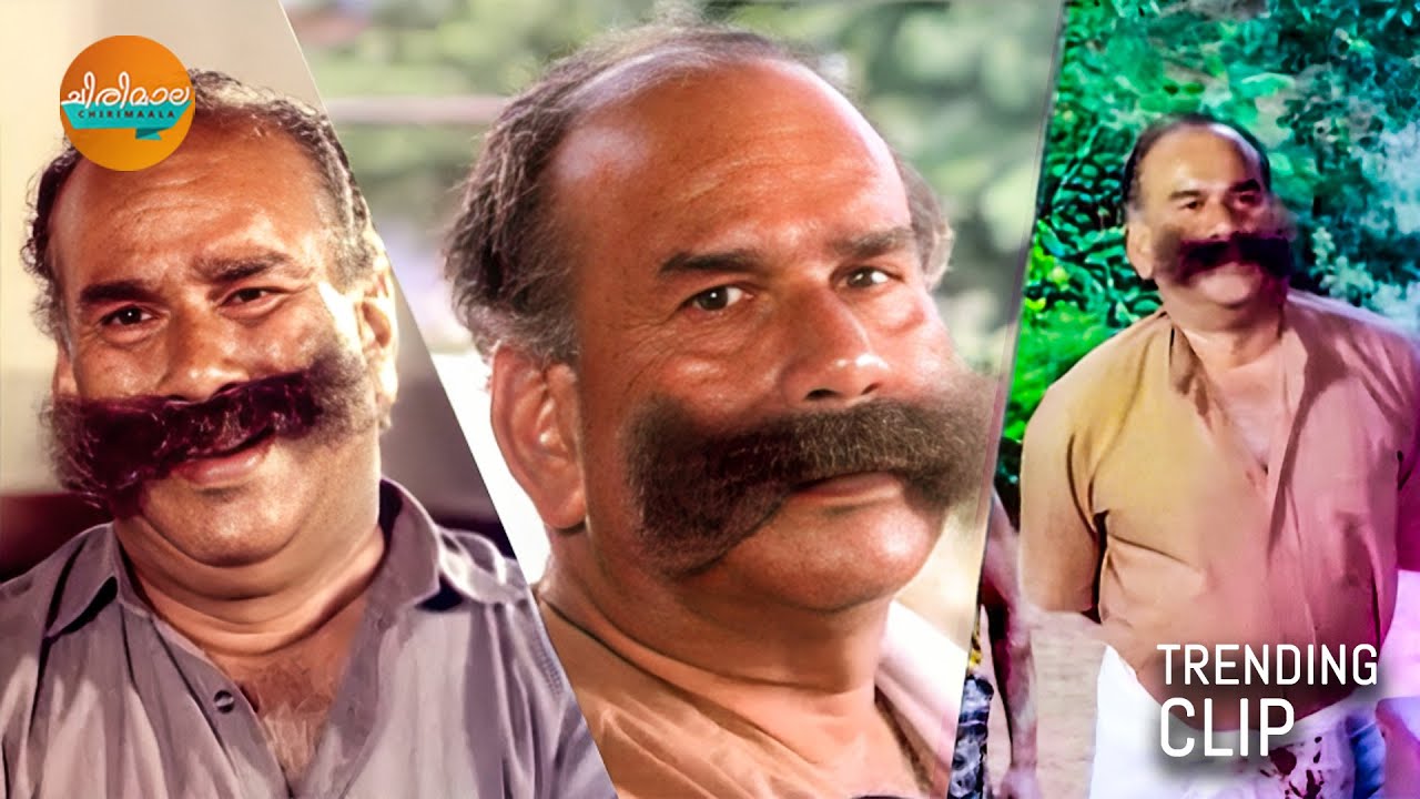 മീശ വാസുവിന്റെ കിടിലൻ കോമഡി രംഗങ്ങൾ | Innocent comedy scenes | Paravoor ...