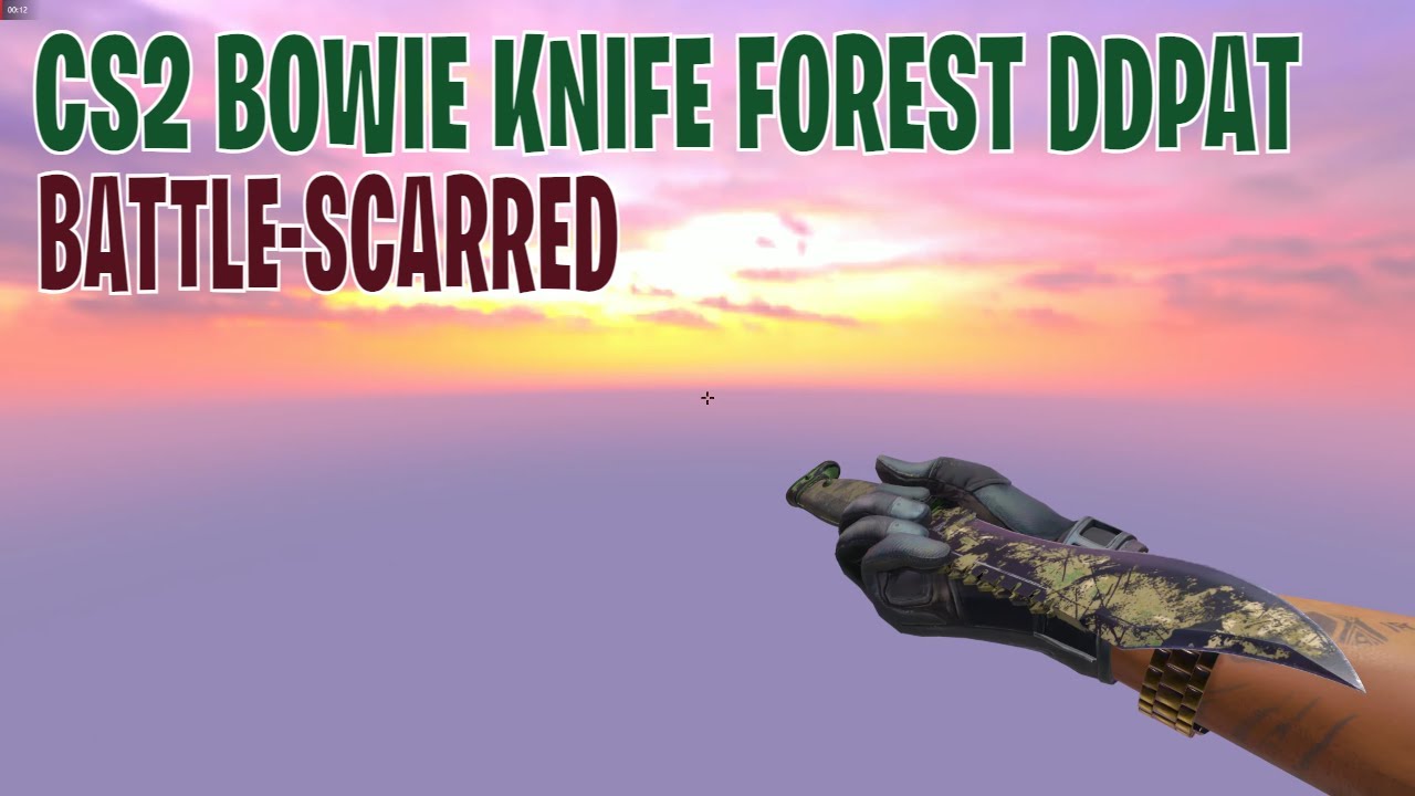 Bowie Knife Forest DDPAT (Battle-Scarred) | CS2 Skin Showcase #459 ...