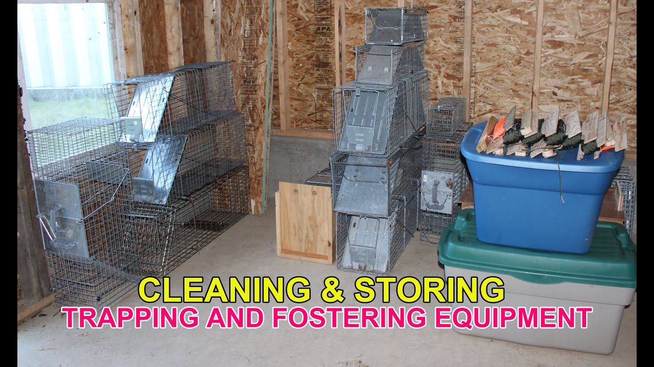 TNR and fostering equipment cleaning and storage - YouTube