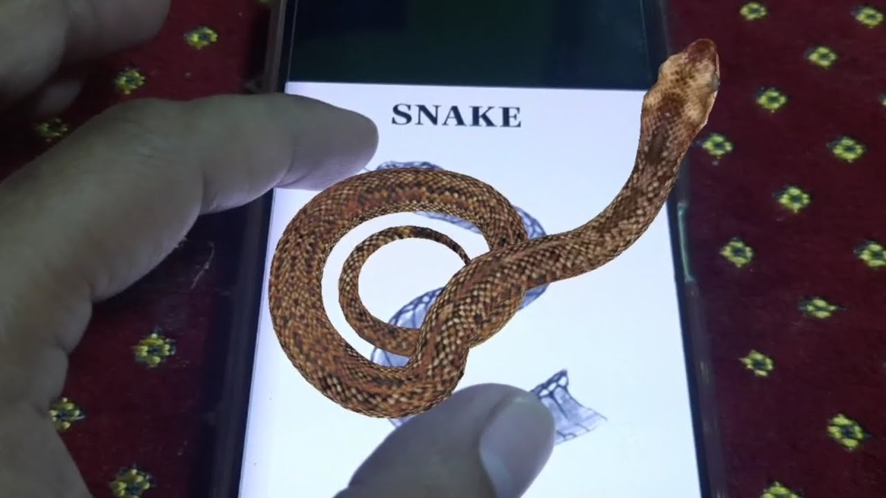 Animal, Insect, Plant, Flower & Fruit 4D Realistic. Best for Prescooler ...