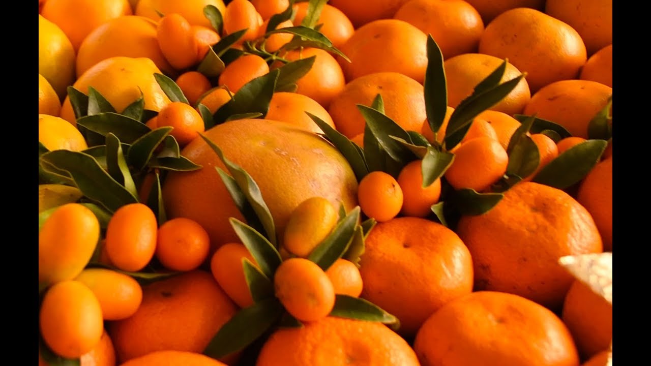 Plaquemines Parish Orange Festival in Buras, Louisiana - YouTube