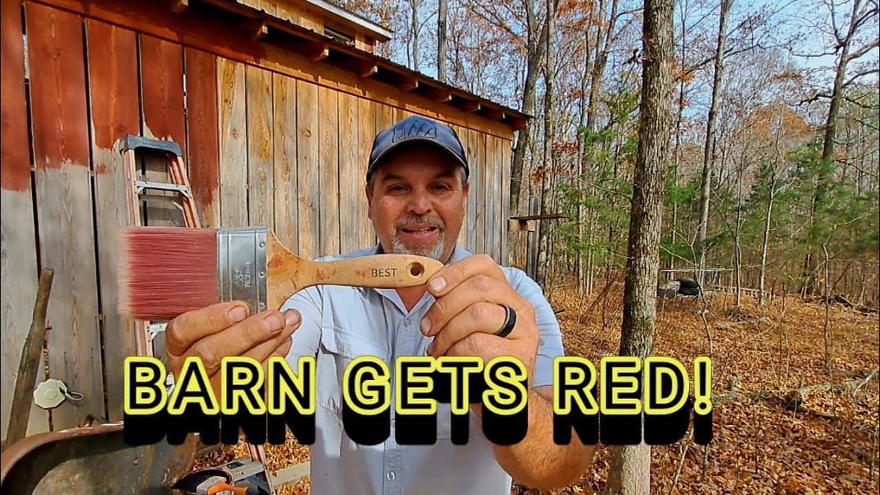 Staining the Old Barn Red + Trip to the Eye Doctor (Real Country Day) # ...