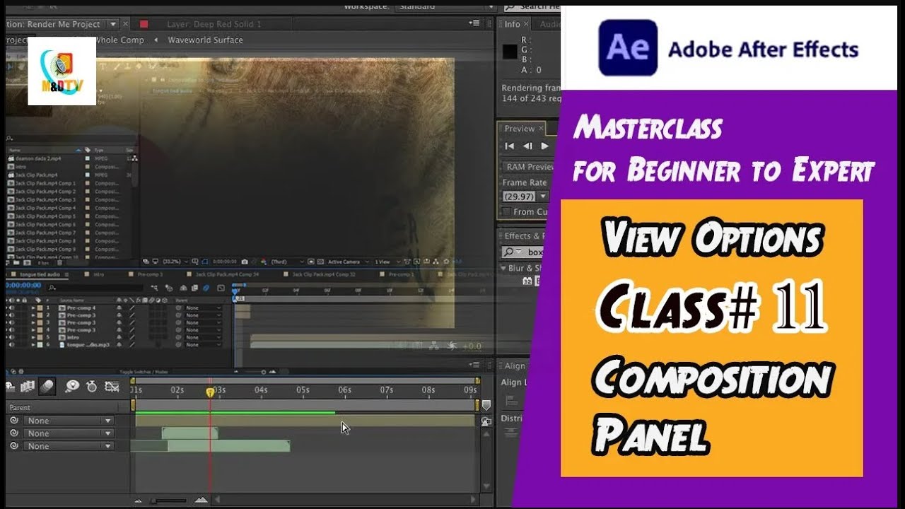 View Options of Composition Panel & Snapshot and Save Frame in After ...