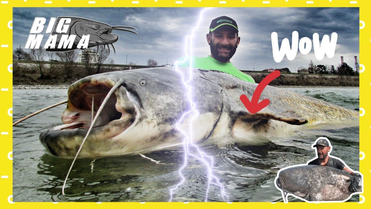 Fisherman alone fishing Giant 230 LBS monster fish by Catfish World ...