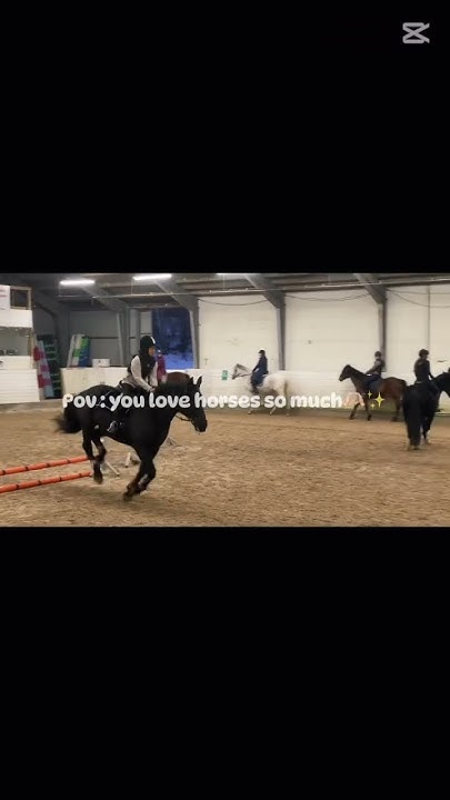 Do you like horses?🐎 - YouTube
