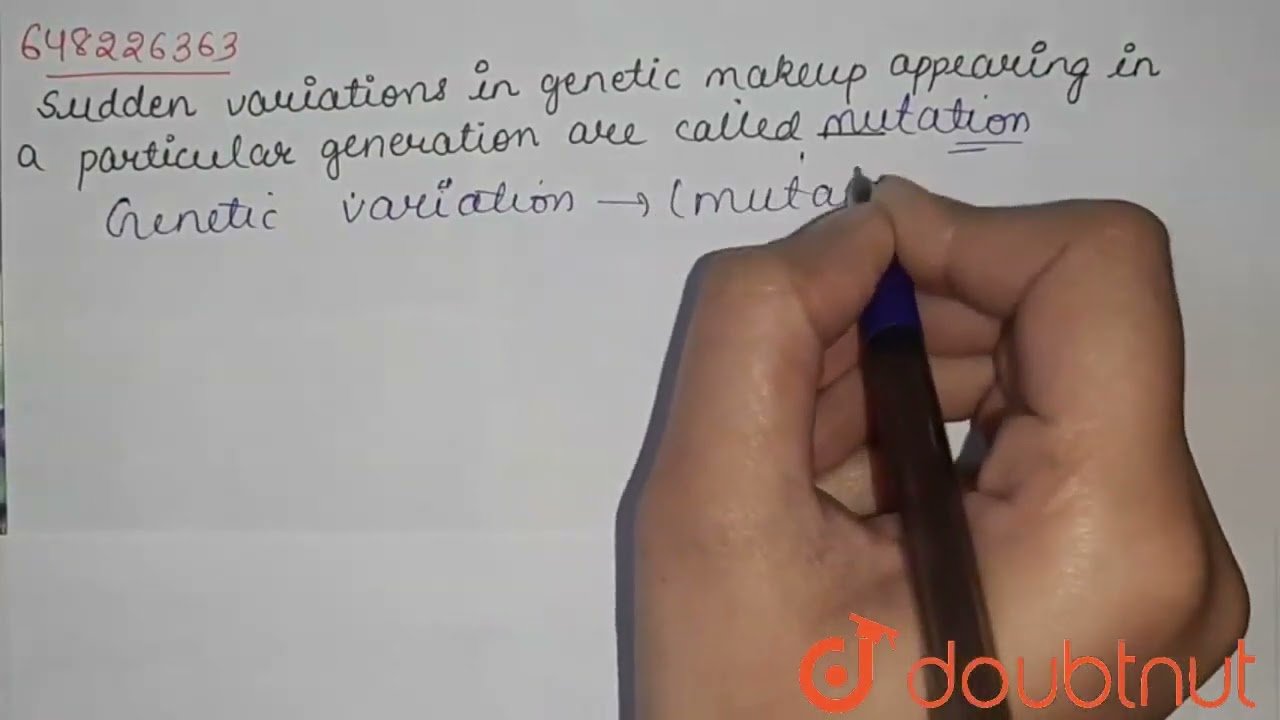 Genetic Makeup | Saubhaya Makeup