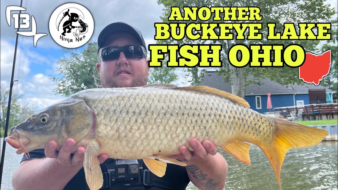 Ep.47 || ANOTHER BUCKEYE LAKE FISH-OHIO! #carpfishing - YouTube