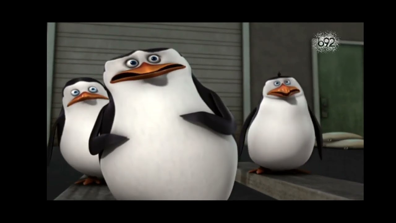Zoološki u Jagodini - Pingvini sa Madagaskara - YouTube