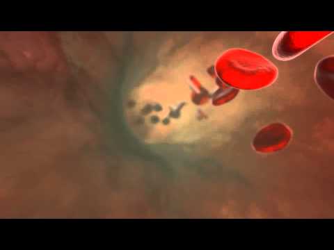 Blood Stream Animation - YouTube