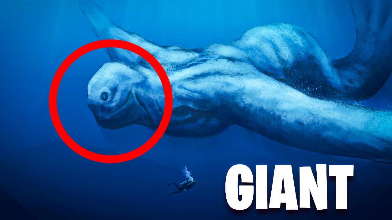 Meet the Giants: 10 Enormous Sea Creatures That Will Blow Your Mind ...