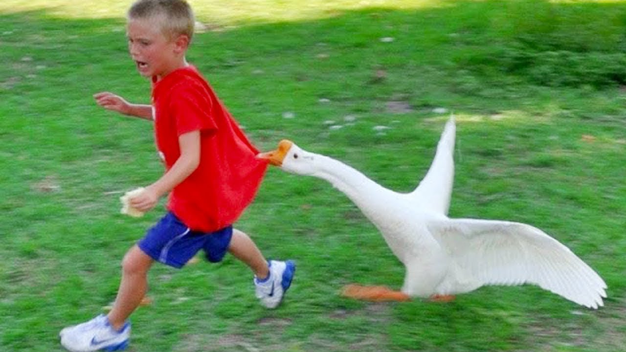 WHAT COULD GO WRONG! #18 | Super FUNNY MOMENTS & FAILS compilation 😂😂🔥 ...